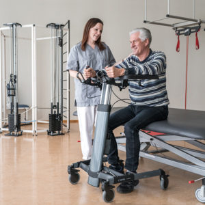 Topro - Taurus Electric walker | Gutter frame walker